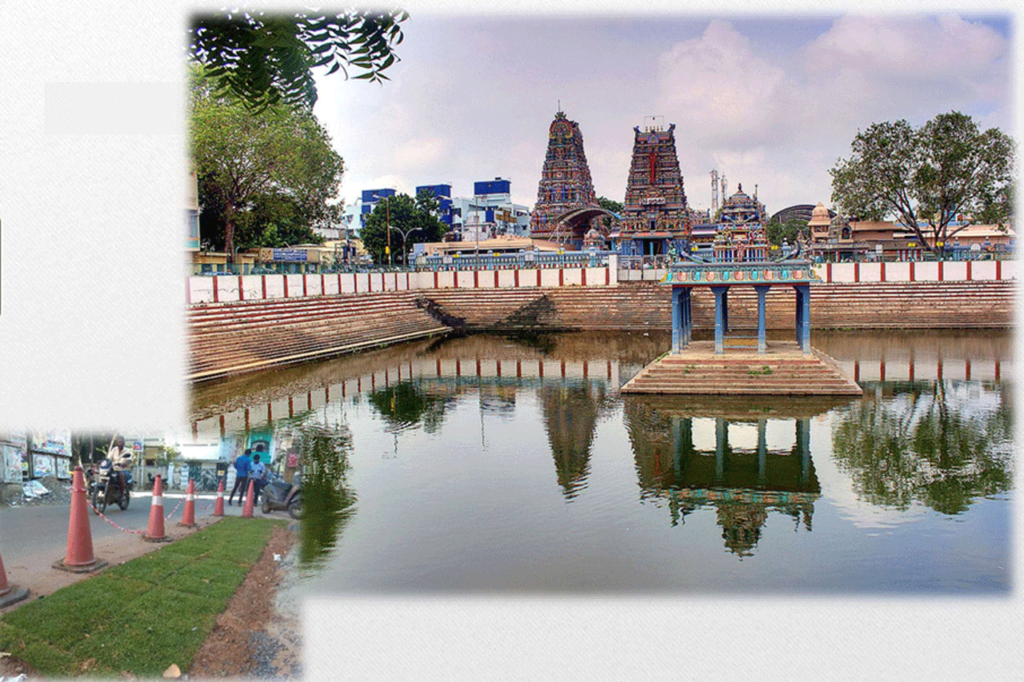 Case Study – Kayessar